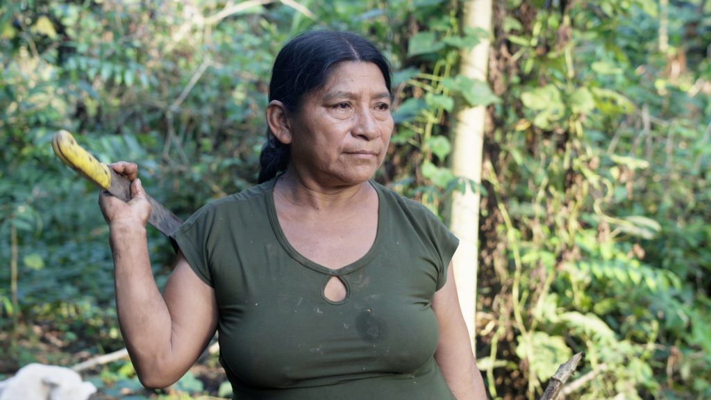 The Wampís Nation demand national and international recognition for ...