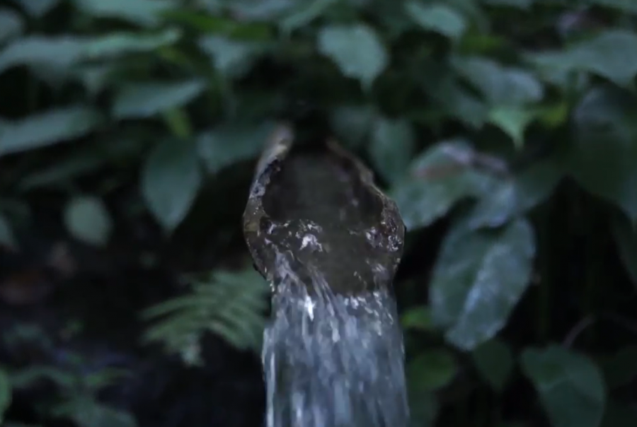 The community-based tagal system in Sabah, Malaysia - Local ...