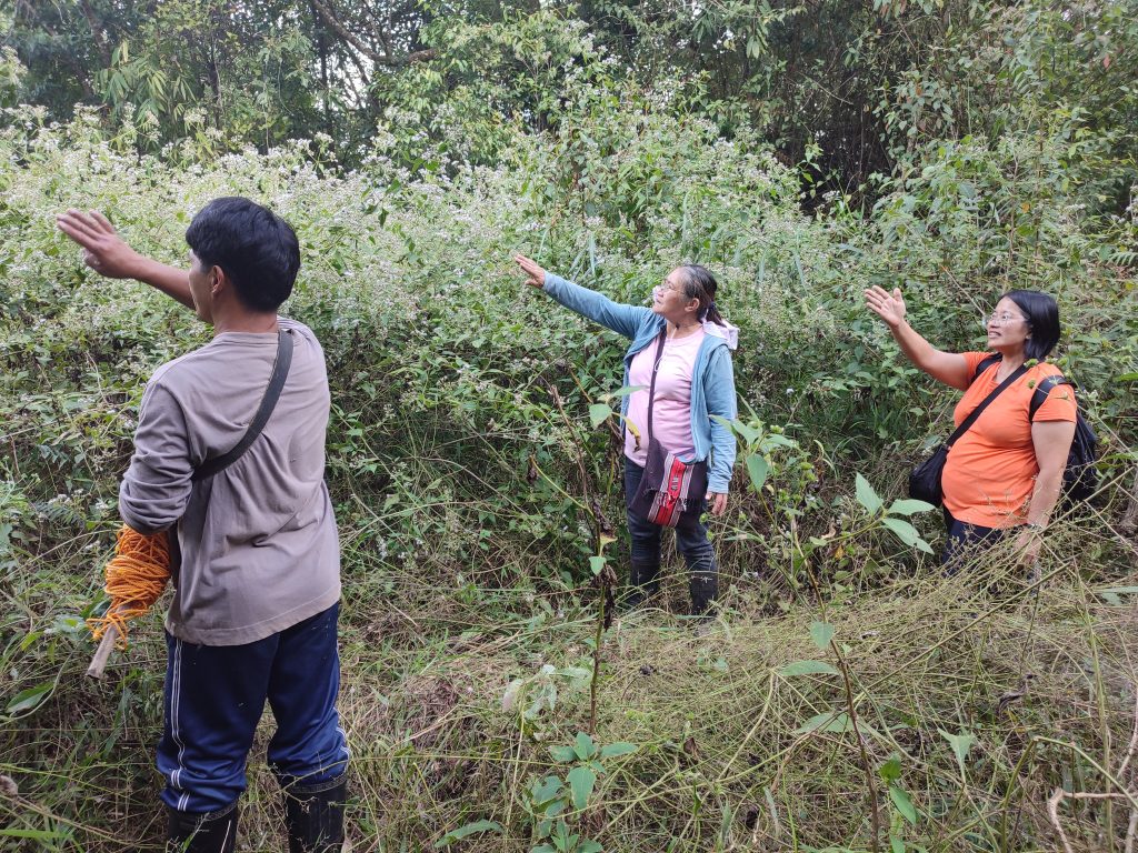 Monitoreo comunitario de las tierras y recursos ancestrales en un ...